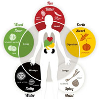 5-ELEMENT-CHART | Qi Balance